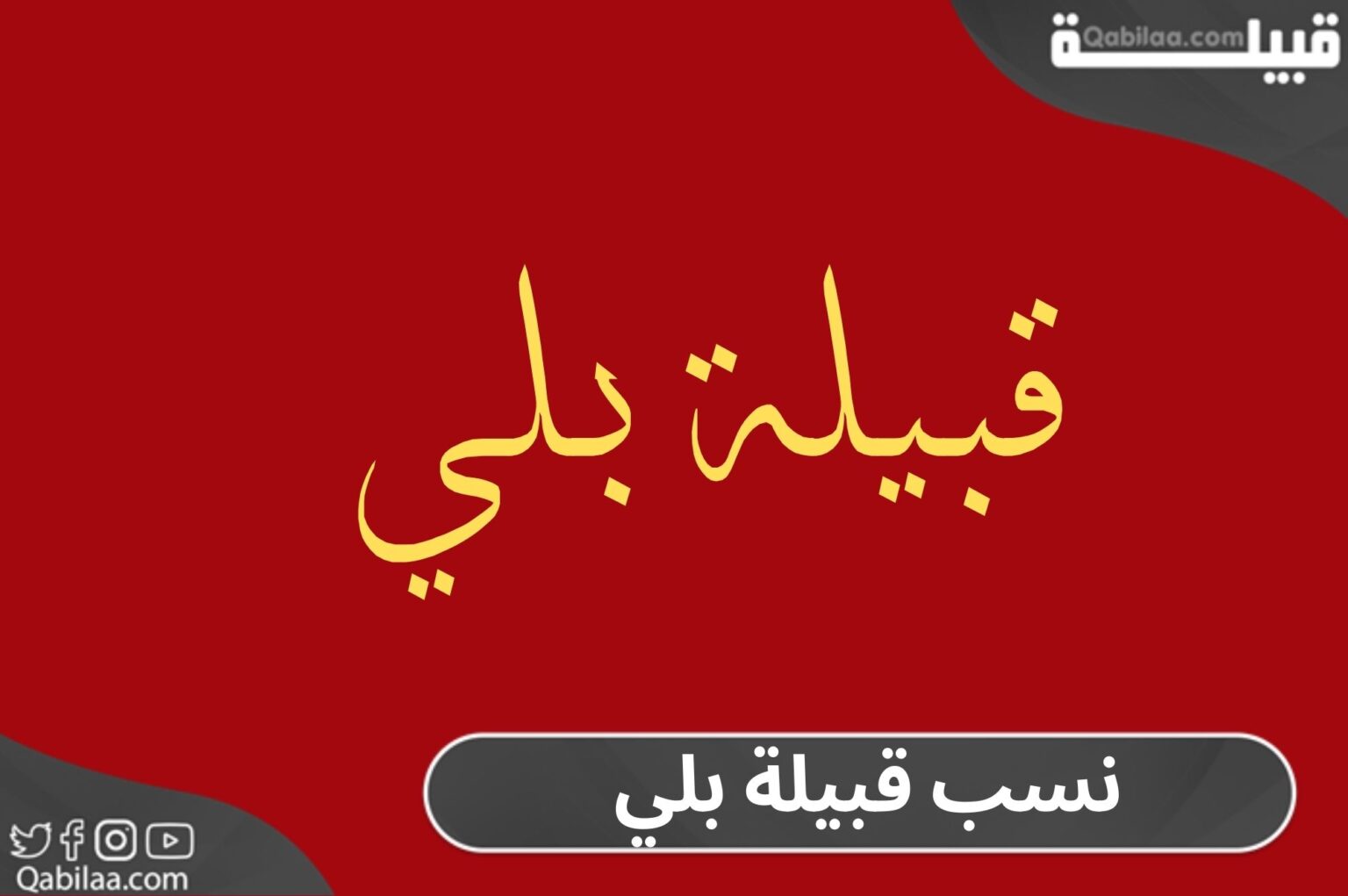 نسب قبيلة بلي وفروعها - موقع قبيلة
